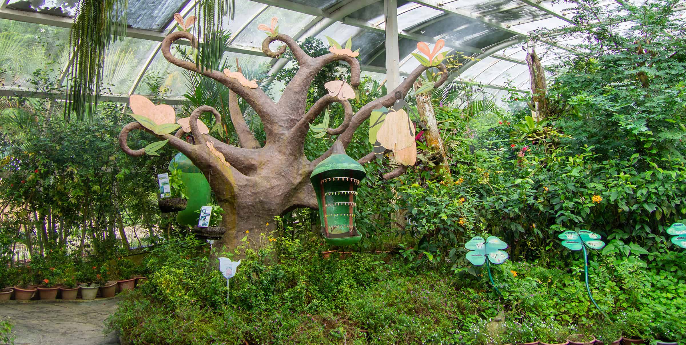 Entopia by Penang Butterfly Farm. Prachtige vlindertuin op Penang eiland.