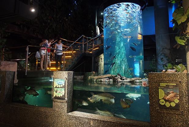 Aquaria KLCC, het aquarium van Kuala Lumpur - Attracties